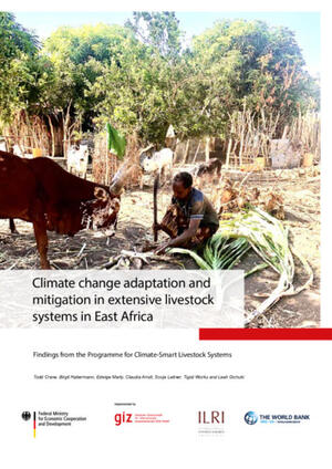 Climate Change Adaptation And Mitigation In Extensive Livestock Systems